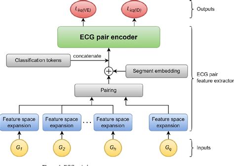 Table 1 From Electrocardiogram Biometrics Using Transformers Self
