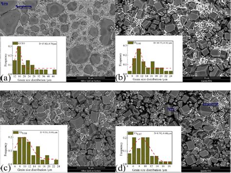 Sem Microstructure Of Cycto Ceramics Distribution Of Grain Size Is