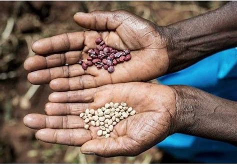 Aaditya Saini Posted On Linkedin