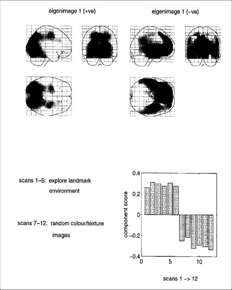 Principal Eigenvector From The Data Led Eigenimage Analysis Of