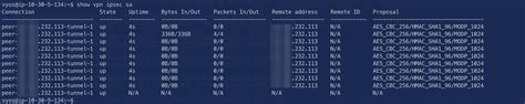 ipsec vpn with vyos 1 2 showing all the tunnels as tunnel1 general