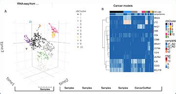 A Protocol For Visual Analysis Of Alternative Splicing In Rna Seq Data Using Integrated Genome