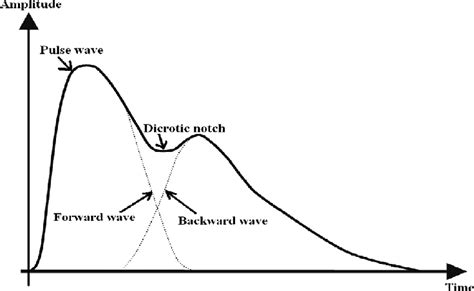 A Pulse Wave Its Forward And Backward Waves Download Scientific Diagram