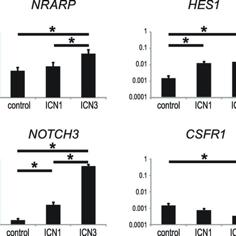 Notch1 And Notch3 Activation Induces Notch Target Gene Expression Download Scientific Diagram