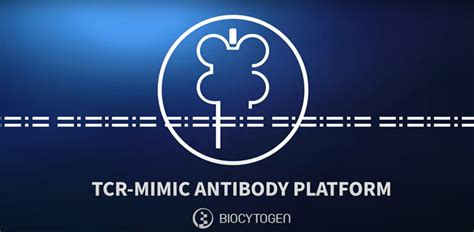 Tcr Mimic Antibody Platform Biocytogen Biocytogen