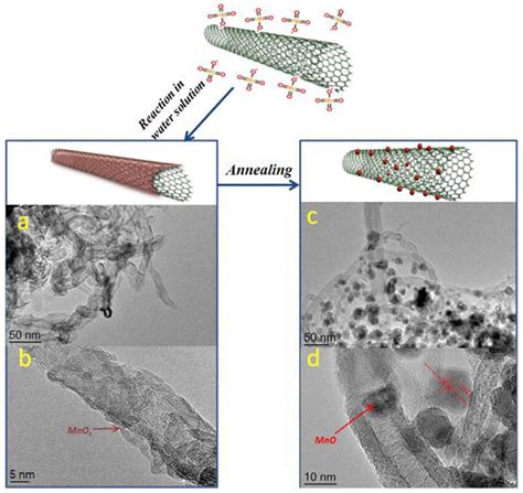 Schematic Flow Process Diagram Of The Whole Process With Corresponding Download Scientific