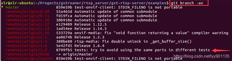 gstreamer 搭建rtsp服务器 gstreamer rtsp server csdn博客