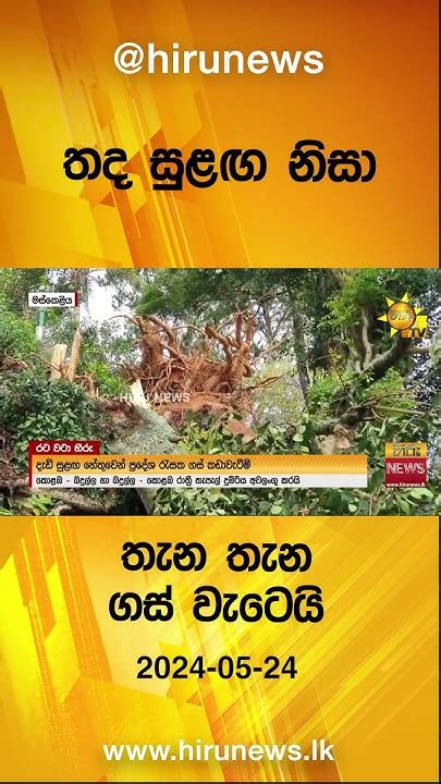 තද සුළඟ නිසා තැන තැන ගස් වැටෙයි Hiru News Youtube
