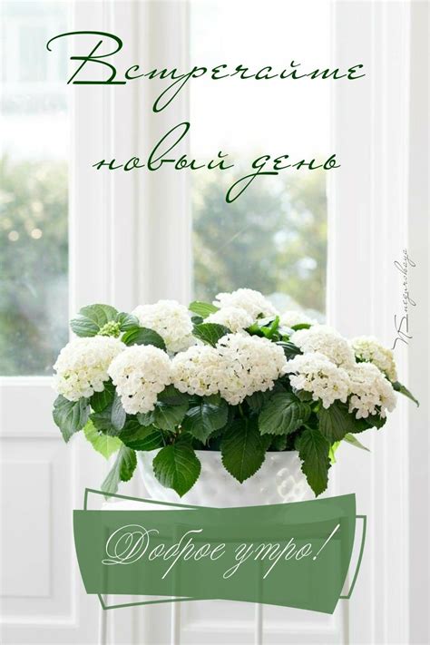 Пожелания Доброе утро Юбилейные открытки Счастливые картинки