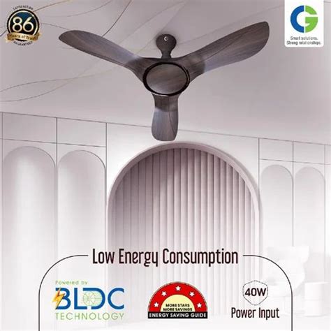 Cg Bldc Ceiling Fan Cg Vectair Deco Decorative Ceiling Fan Exporter From Navi Mumbai