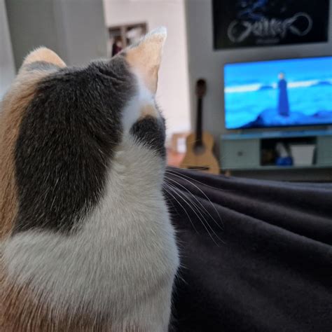 ‎myris Profile • Letterboxd