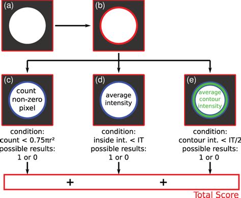 particle verification process a initial image b circle detection