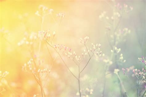 Soft Nature Backgrounds