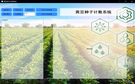 基于python图像的作物种子数统计算法设计与应用（源码文档演示视频）基于python的黄豆计数 Csdn博客