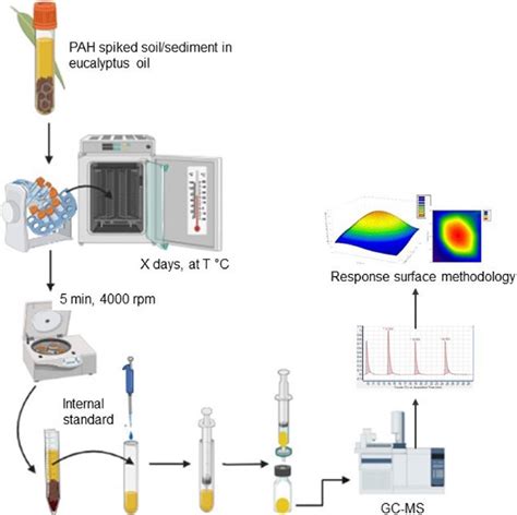 Experimental Procedure Of The Eucalyptus Oil Extraction Of Polycyclic Download Scientific
