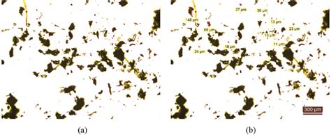 Particle Size Measurement Using An Optical Microscope A Microscopic