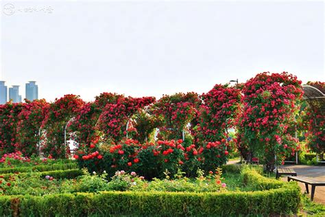 서울시 내 손안에 서울