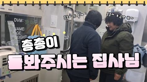 병원에 입원한 길고양이단체 면회 Youtube