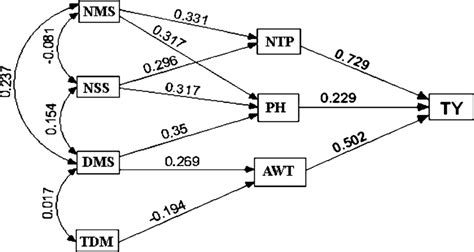 Sequential Path Model Illustrating Interrelationships Among Various Download Scientific Diagram