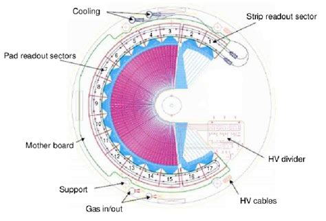 7 Schematic View Of One Plane Of The T2 Detector Download Scientific Diagram