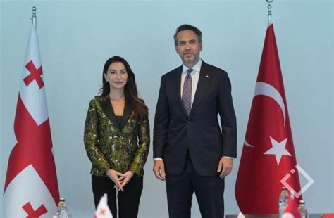 მარიამ ქვრივიშვილმა თურქეთის ენერგეტიკისა და ბუნებრივი რესურსების