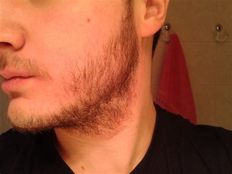 And A Week My First Beard I Grow For A Month Now Beard Board