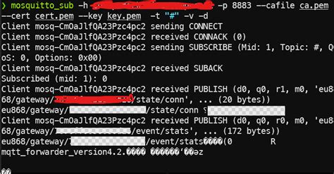 To Log Messages From All Applications And Gateways Setup And Configuration Chirpstack