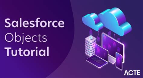 salesforce objects tutorial learning path complete guide [ step in