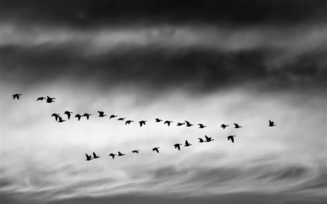 Migrating From Lombok To Kotlin