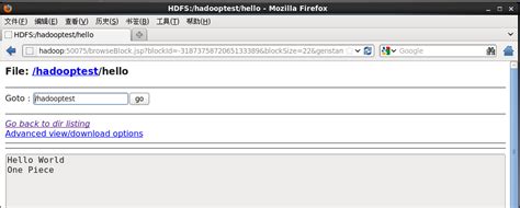Hadoop（三）java操作hdfs Csdn博客