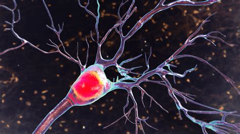 Is Mathematics The Empress Of Science A Physicist Weighs In Big Think