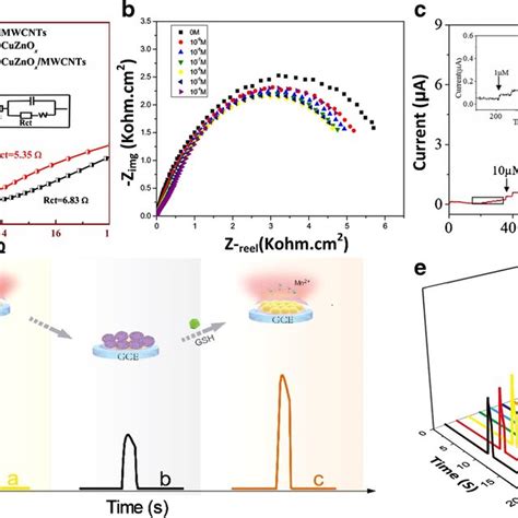 Voltammetry Lsv Cv Dpv And Swv In Electrochemical Biosensors A Download Scientific