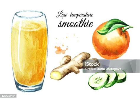 오렌지 오이와 생강의 낮은 온도 스무디 흰색 배경에 고립 수채화 손으로 그린 그림 생강에 대한 스톡 벡터 아트 및 기타 이미지 생강 수채화 오렌지 감귤류 과일