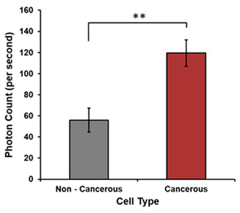 Photon Counts Per Second From Malignant And Non Malignant Cells Show A Download Scientific