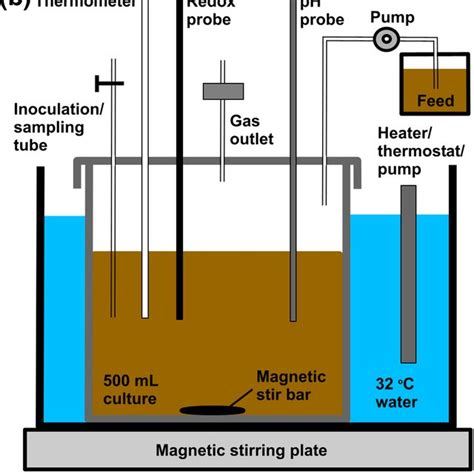 Schematic Diagrams Of The Anoxic Bioreactor Units A Batch