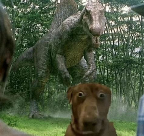 Jurassic Park The Dog Jurassic Park Dog Funny Jurassic Park The