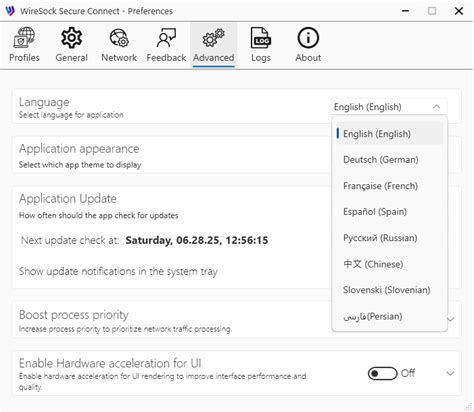 Advanced Settings Wiresock Documentation