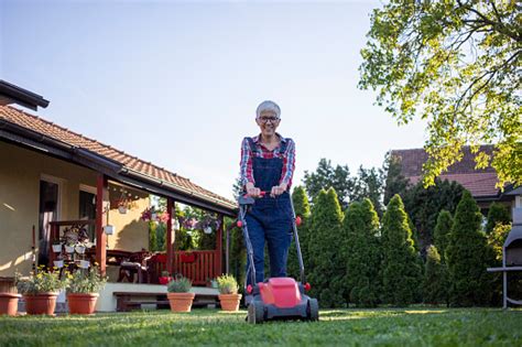 아름다운 성숙한 여자 사용 A 잔디 깎는 기계 에 그녀의 뒤뜰 절단 그만큼 잔디 잔디 깎기에 대한 스톡 사진 및 기타 이미지