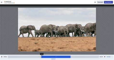 Digital Asset Management Release Notes Latest Cloudinary