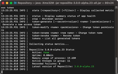 Custom Self Hosted Maven Repository