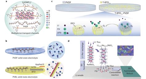 Fundamentals And Perspectives Of Polyvinylidene Fluoride Based Electrolytes For Solid State