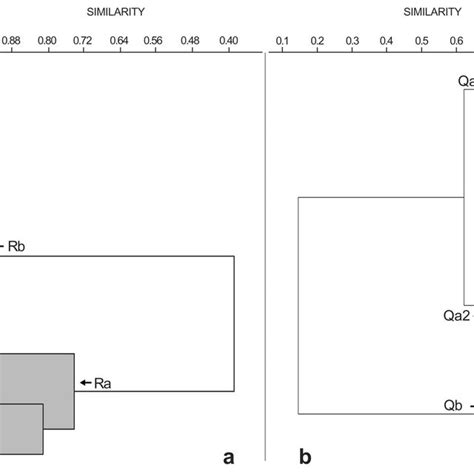 Dendrogram Classifications From Cluster Analysis Based On The Relative