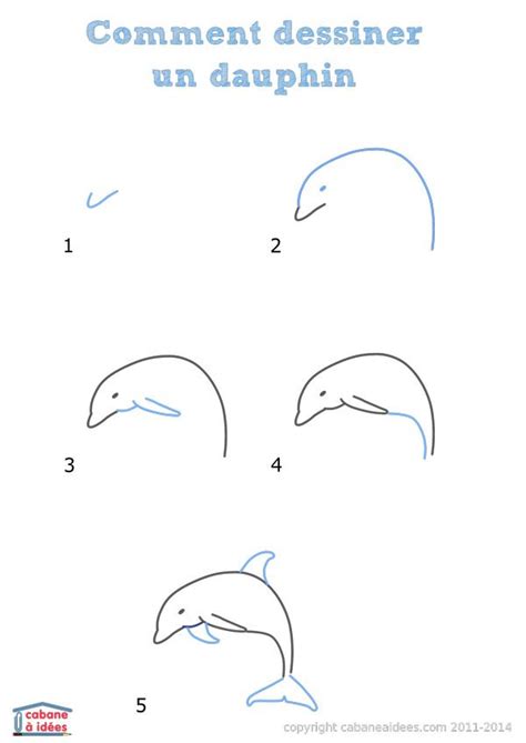 Comment Dessiner Un Dauphin Cabane à Idées Comment Dessiner Dauphin Dessin