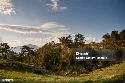 상록 수선 나무와 하늘이 배경에 구름이 있는 녹색 계곡의 웅장한 전망 0명에 대한 스톡 사진 및 기타 이미지 0명 경관 경외감 Istock