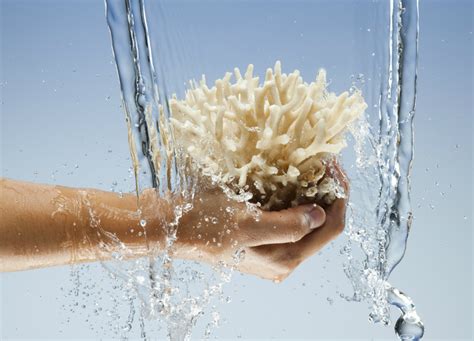 Страница 64 - Еда | MARIECLAIRE