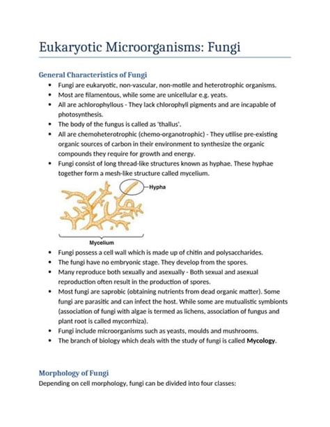 Fungi Characteristics Morphology Classification Reproduction Economic Importance Docx