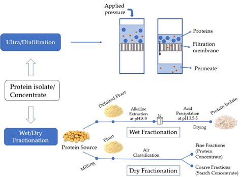 A Schematic Showing The Production Of Protein Isolates And Concentrates