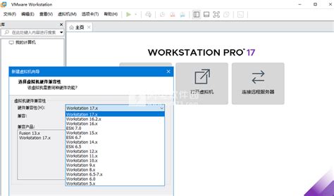 VMware Workstation 破解版 VMware Workstation Pro Build Player 闪电软件园