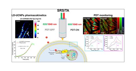 Unveiling The Spatiotemporal And Dose Responses Within A Single Live