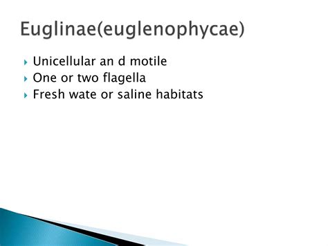 Classification Of Algae 123ppt